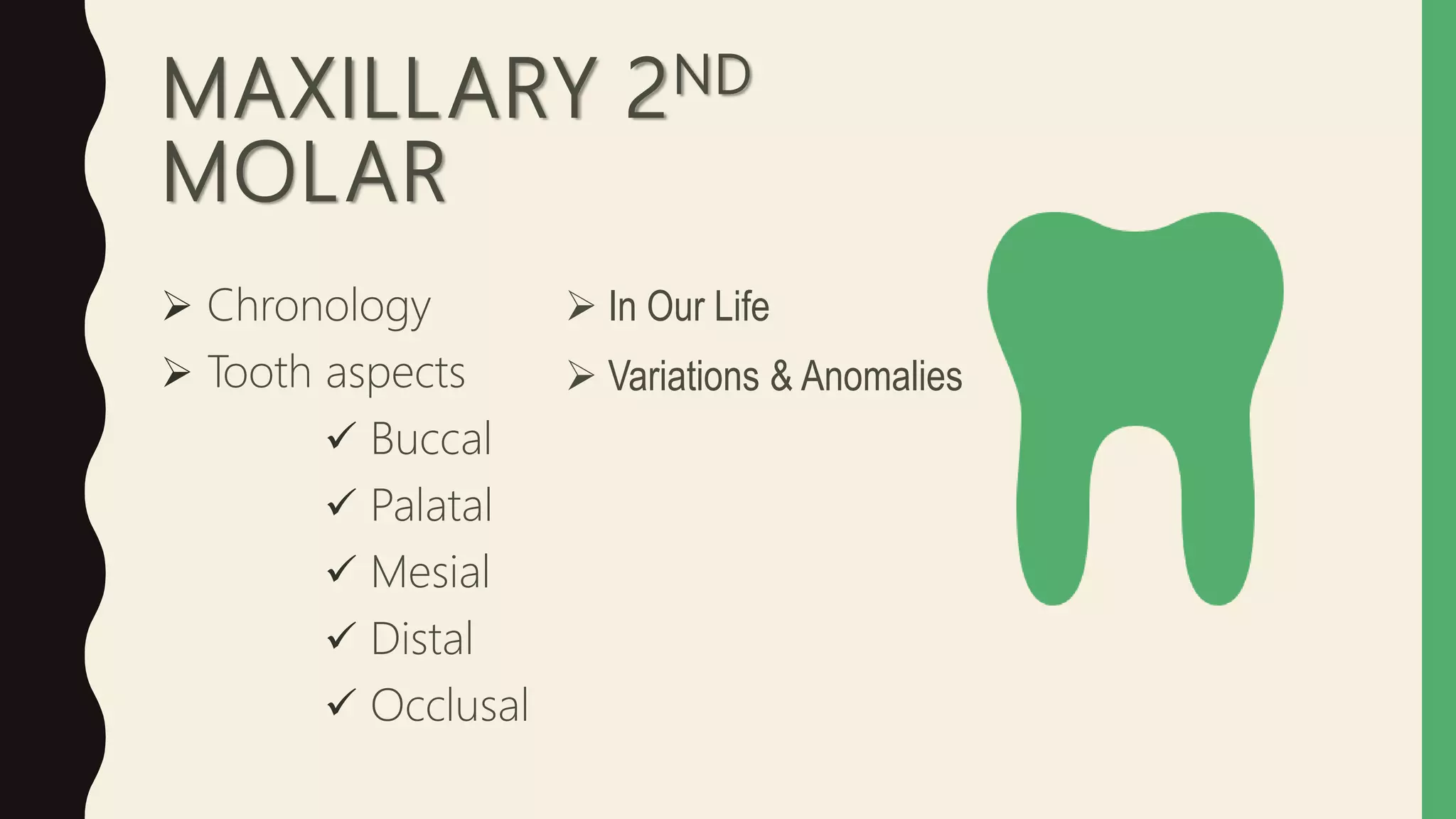 Maxillary second molar | PPTX