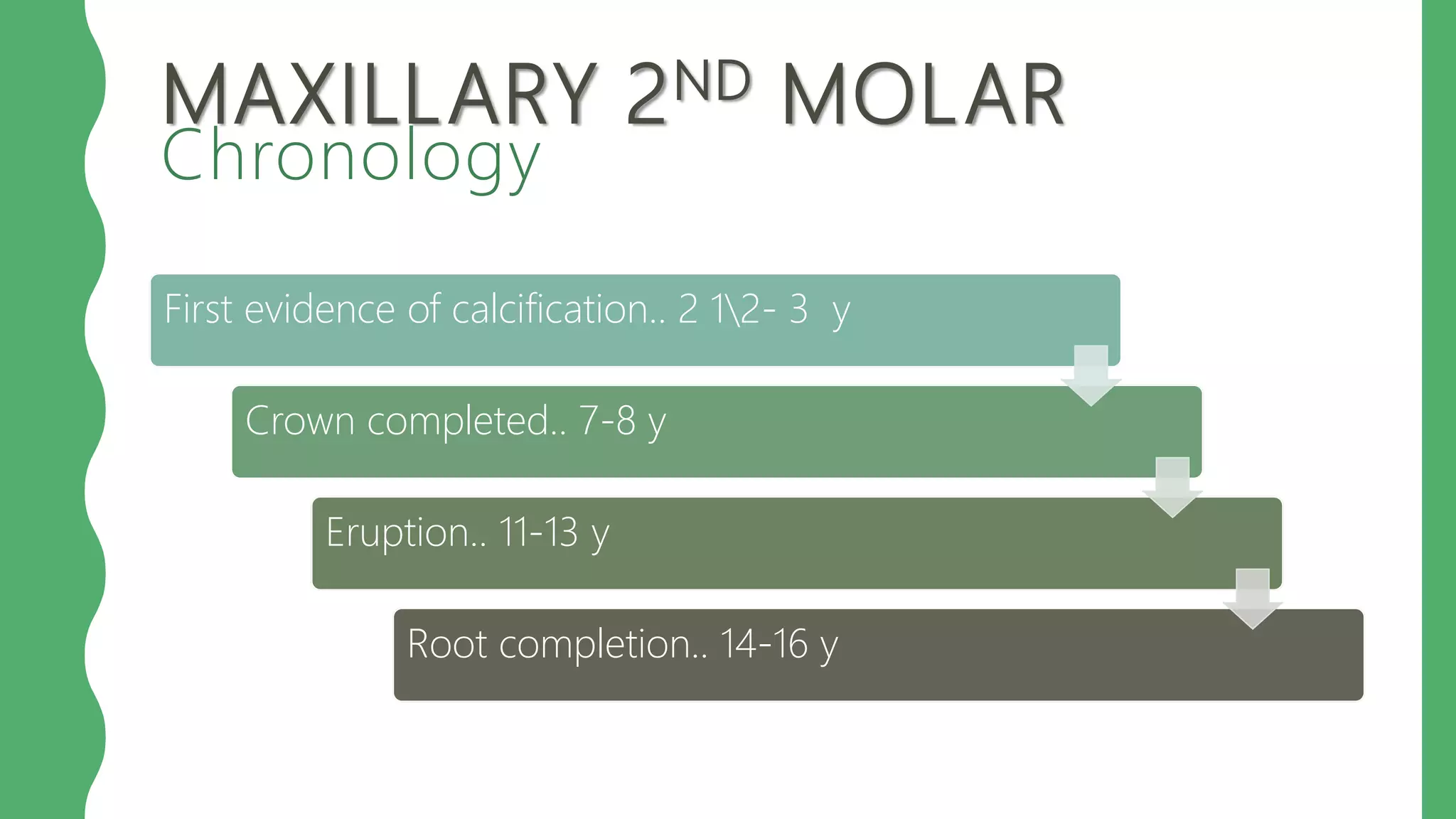 Maxillary second molar | PPTX