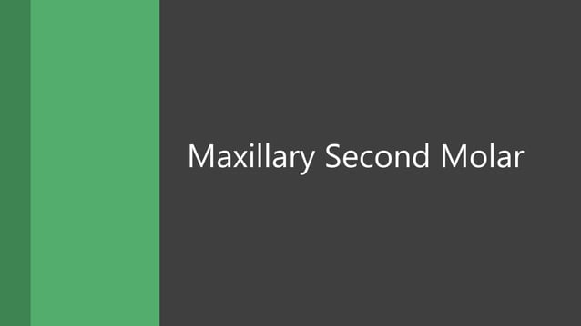Maxillary second molar | PPTX | Dental Health | Diseases and Conditions