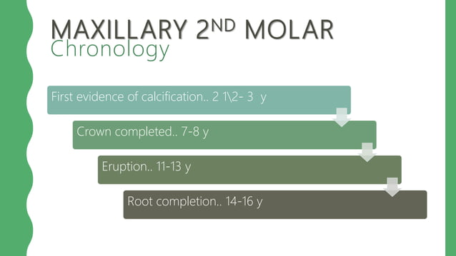 Maxillary second molar | PPTX | Dental Health | Diseases and Conditions