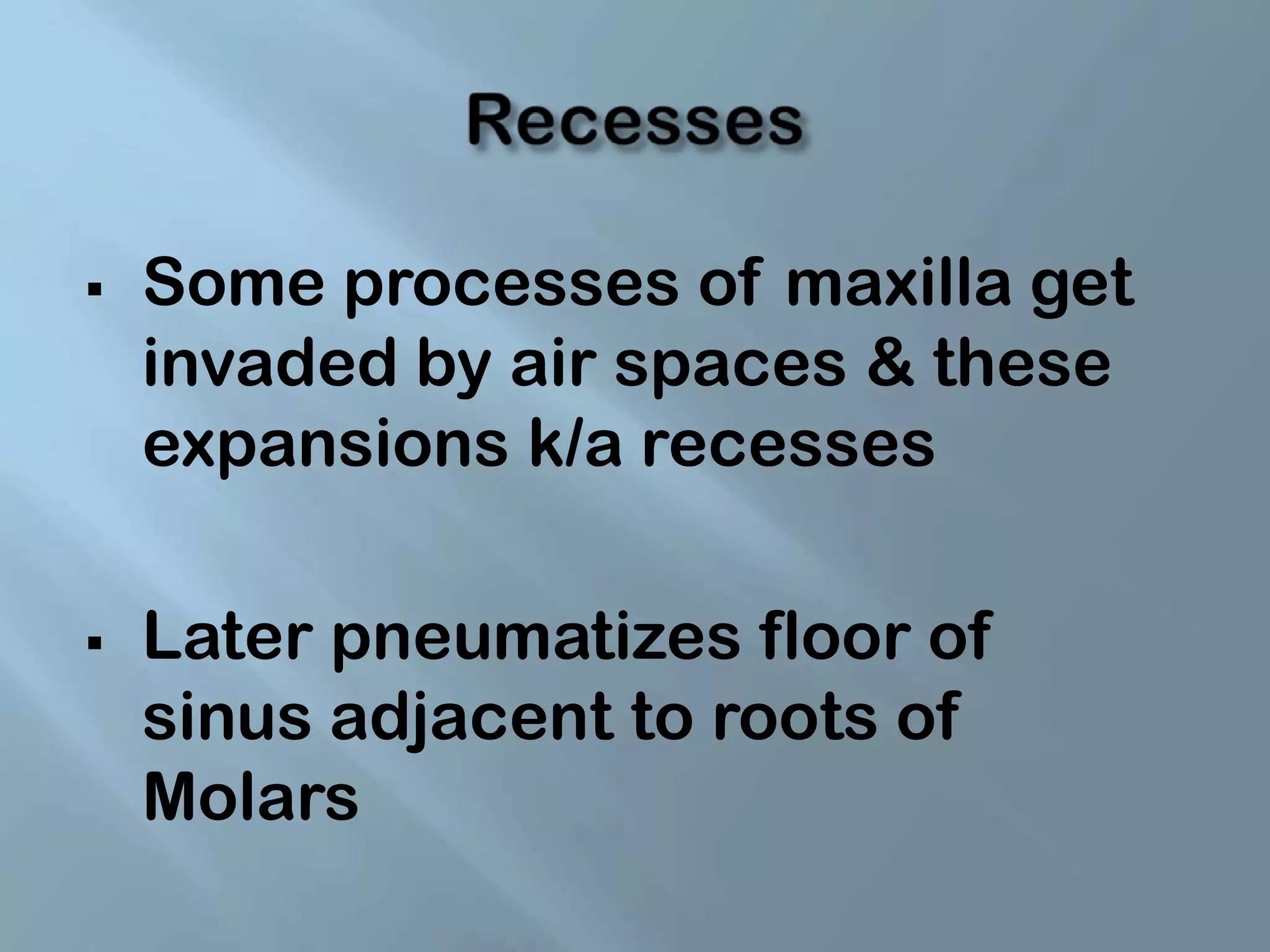 Maxillary Sinus | PPTX