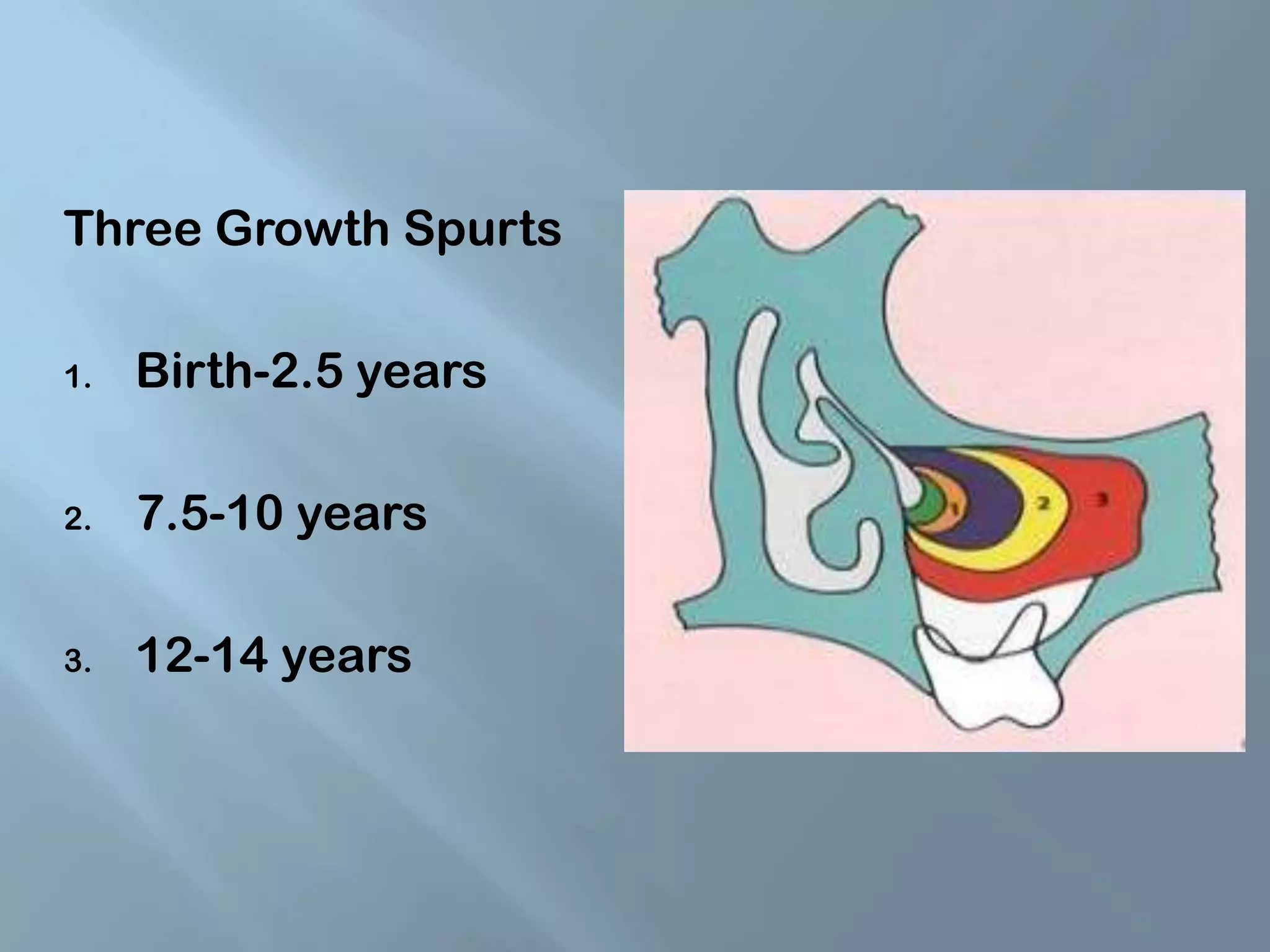 Maxillary Sinus | PPTX