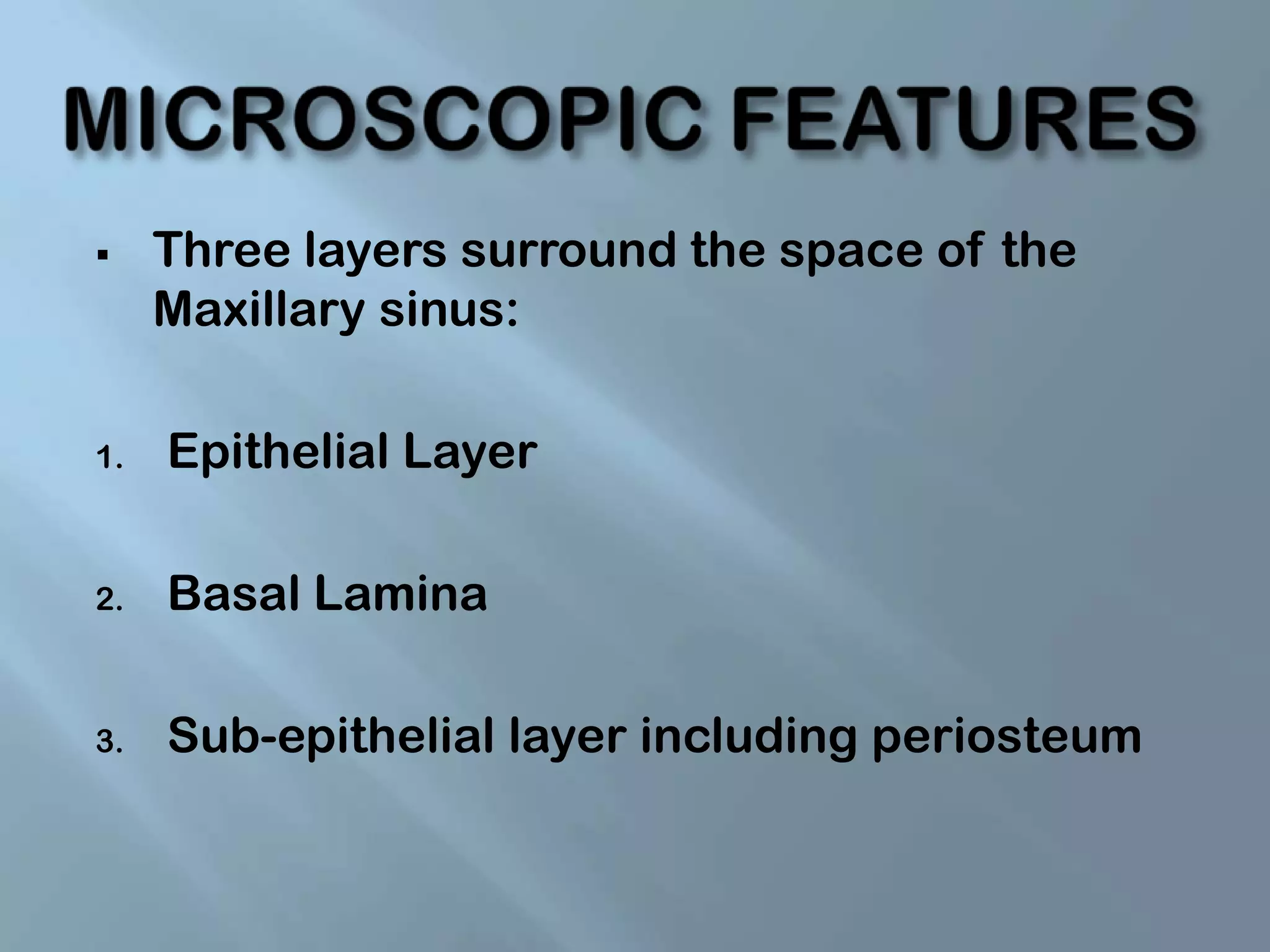 Maxillary Sinus | PPTX