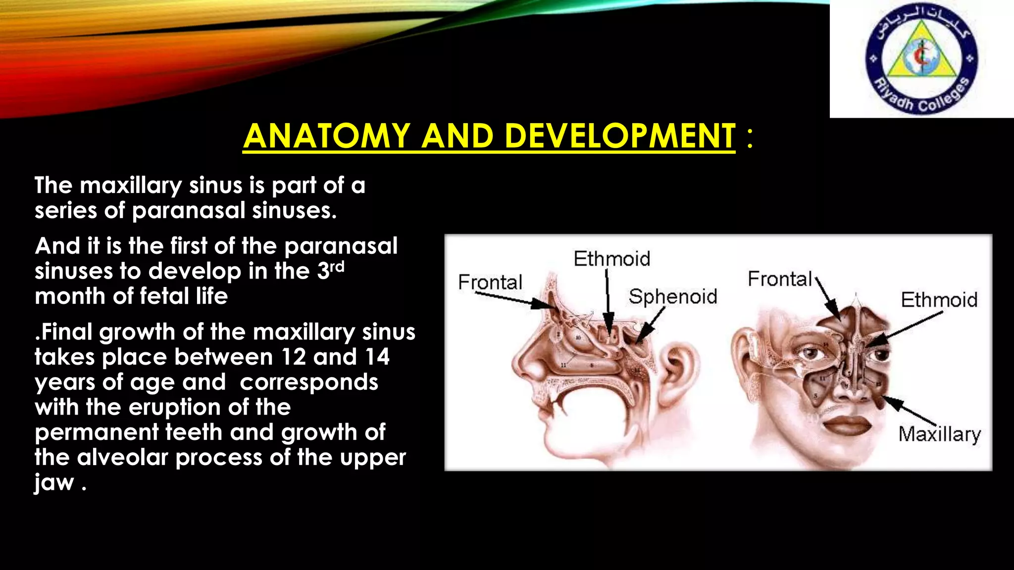 Maxillary sinus | PPTX