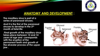 Maxillary sinus | PPTX