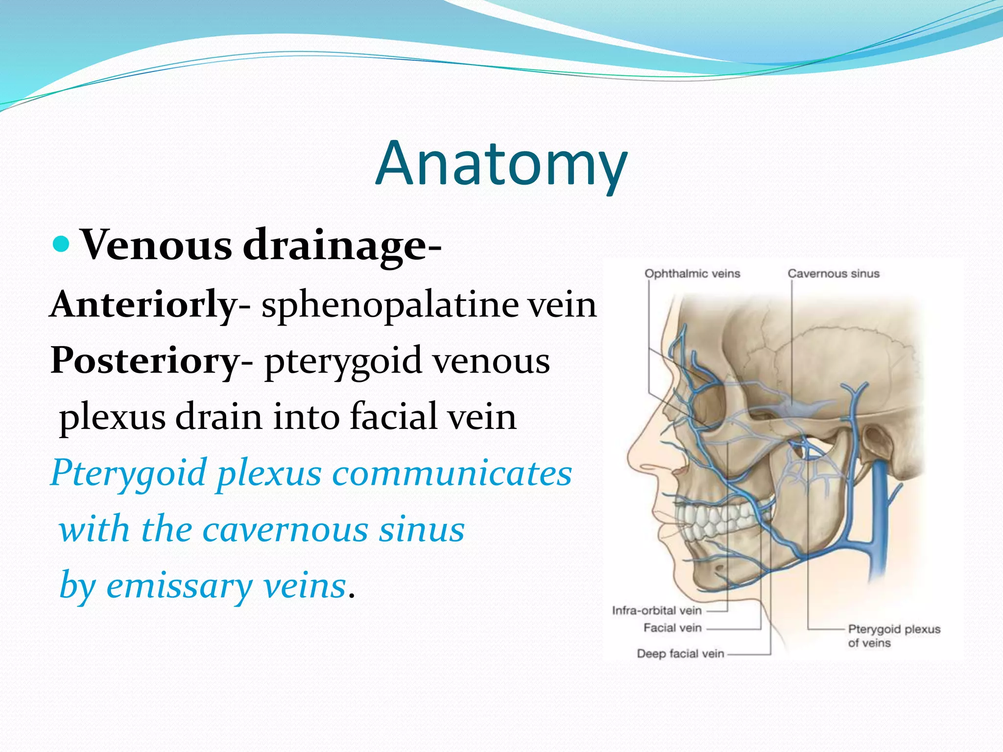 Maxillary sinus.pptx gaurav | PPTX