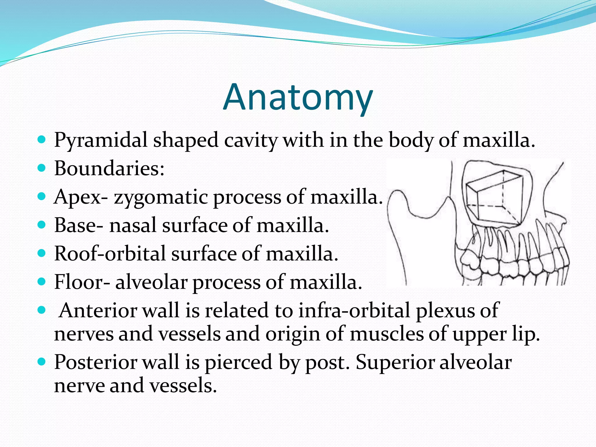 Maxillary sinus.pptx gaurav | PPTX