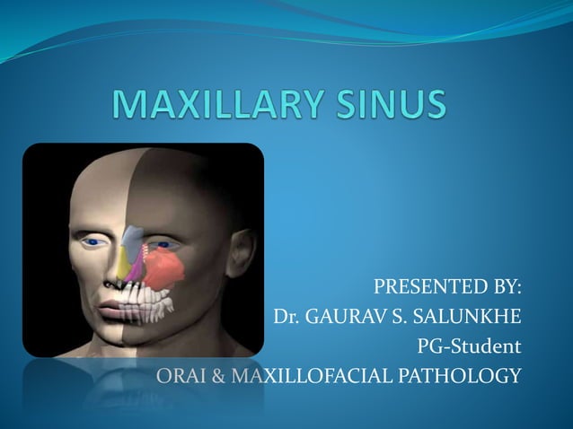 Maxillary sinus.pptx gaurav | PPTX