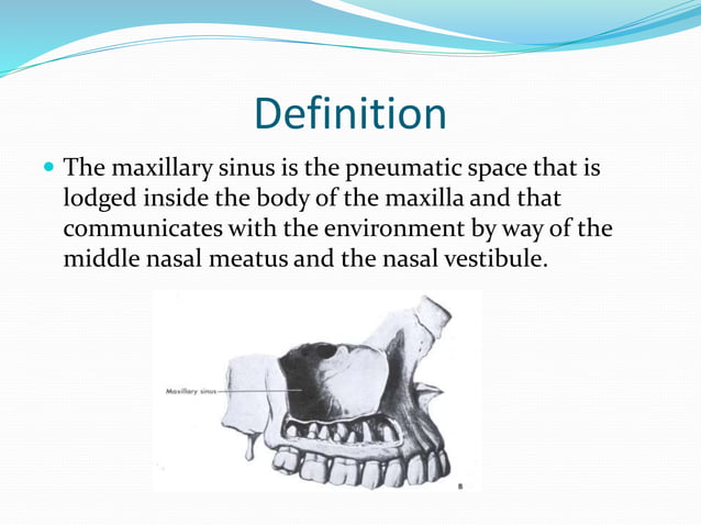Maxillary sinus.pptx gaurav | PPTX