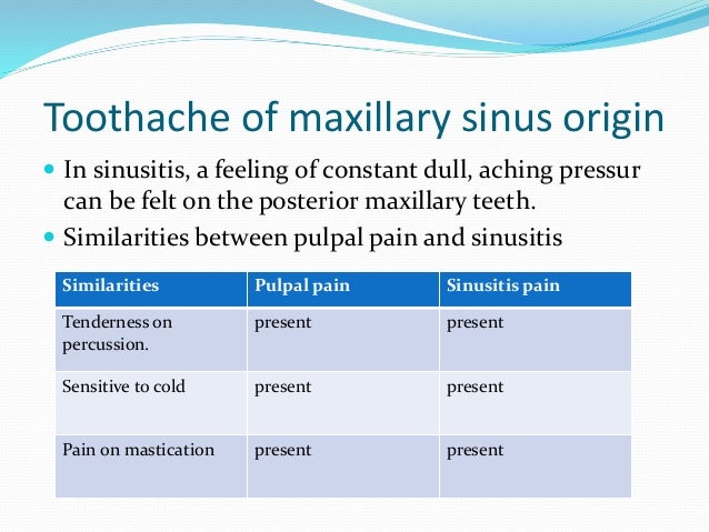 Maxillary sinus.pptx gaurav