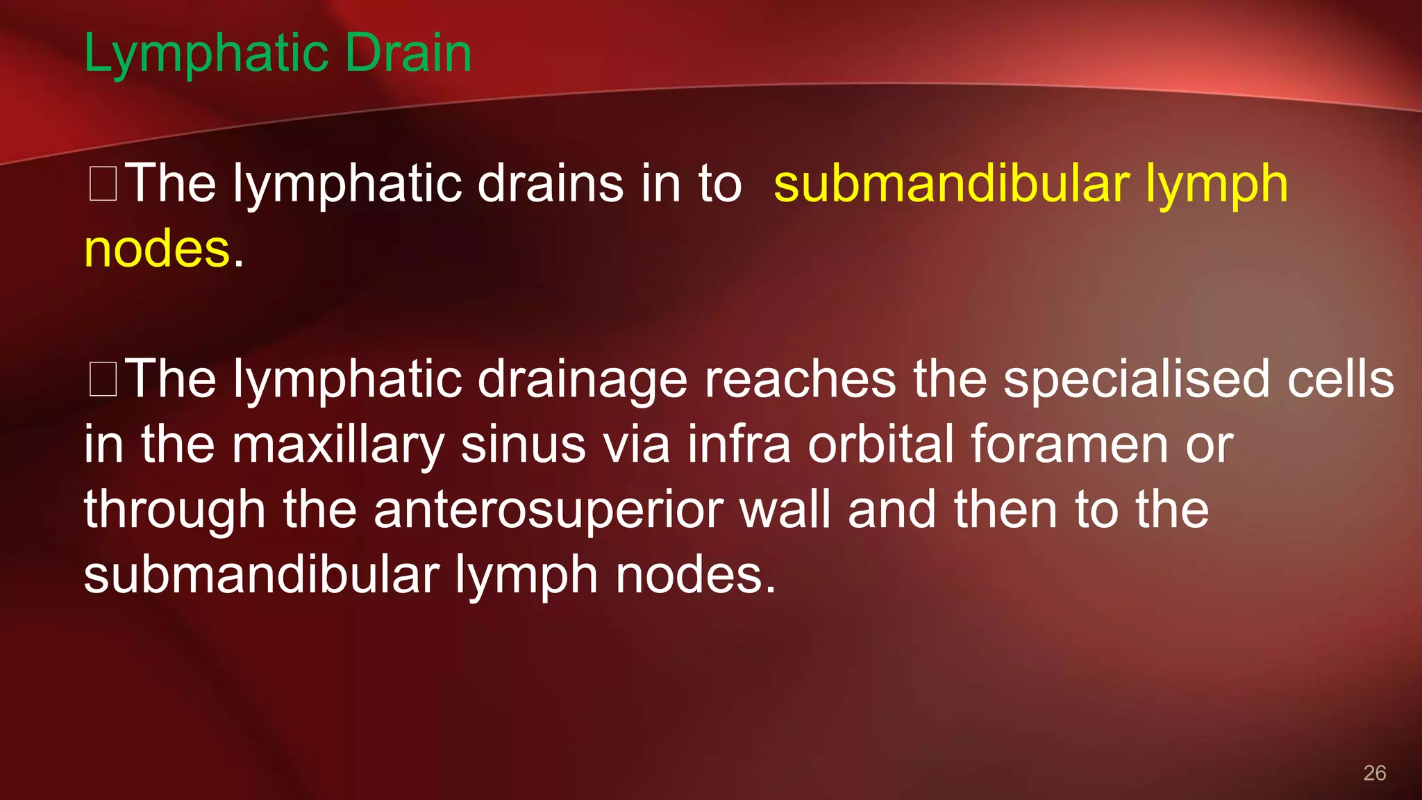 Maxillary sinus | PPTX