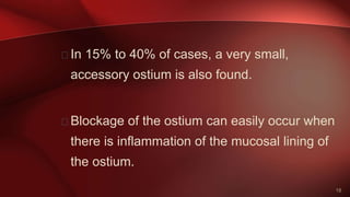 Maxillary sinus | PPTX