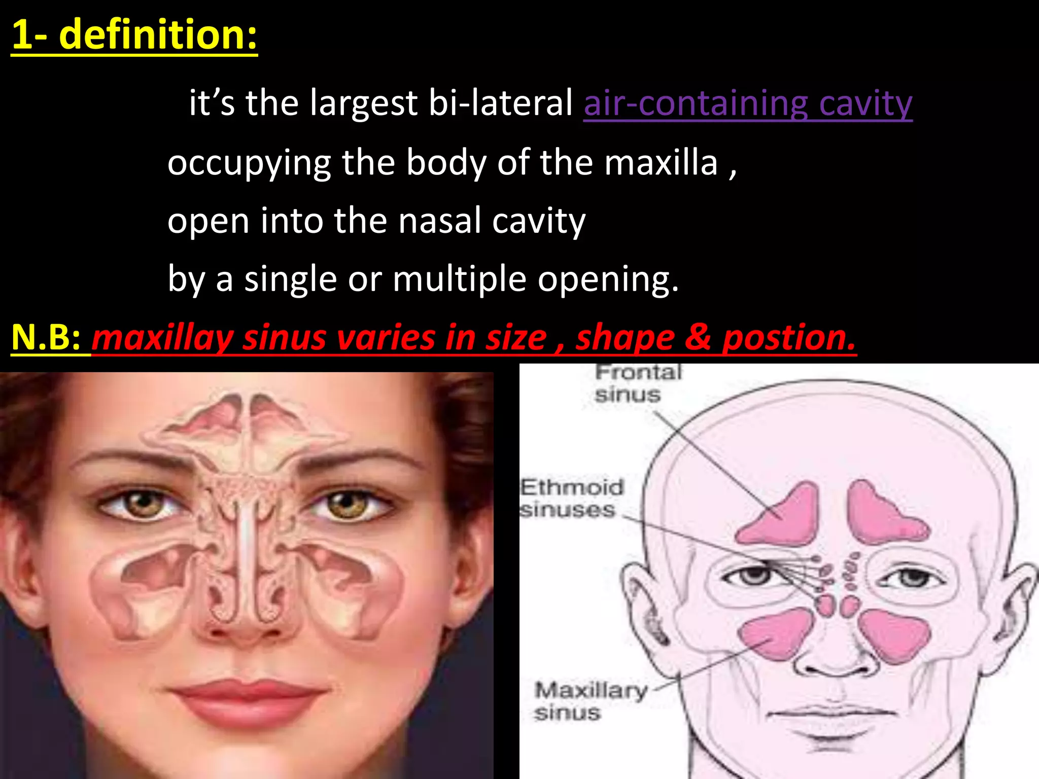 Maxillary sinus | PPTX