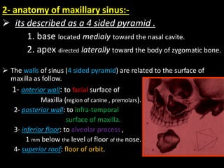 Maxillary sinus | PPTX