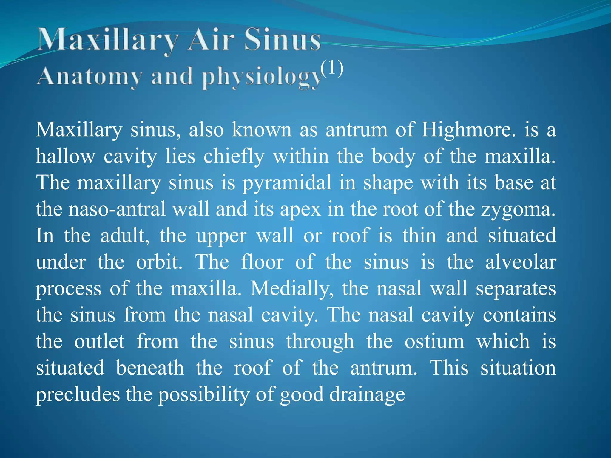 Maxillary Sinus | PPTX