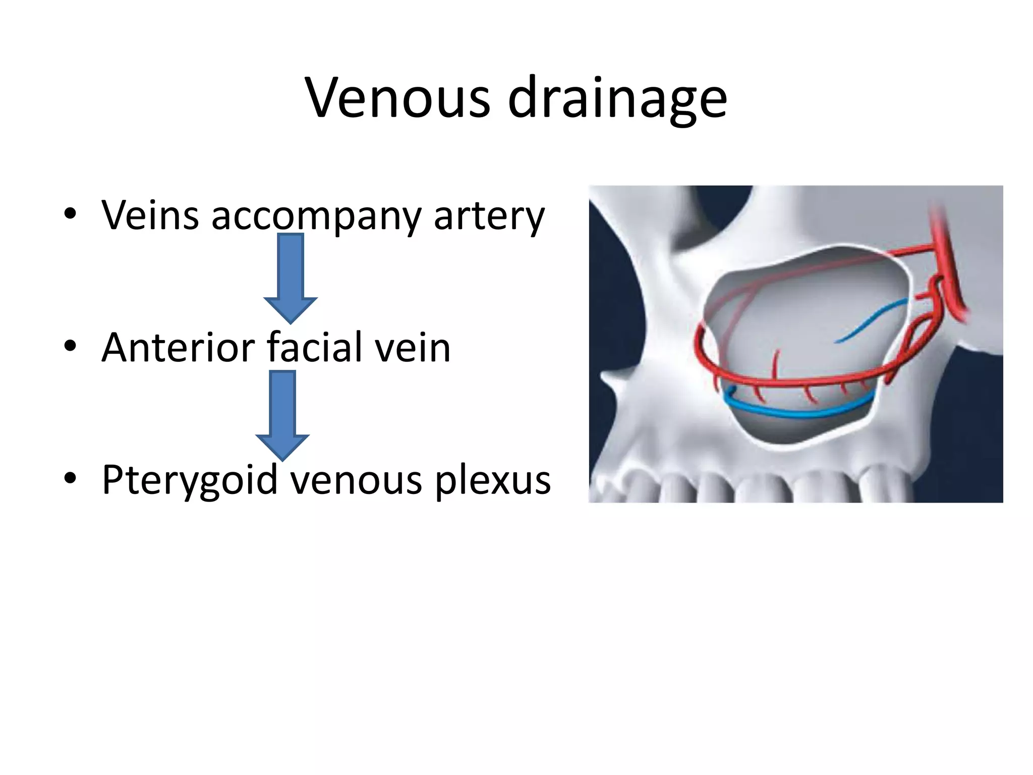 Maxillary Sinus Ppt