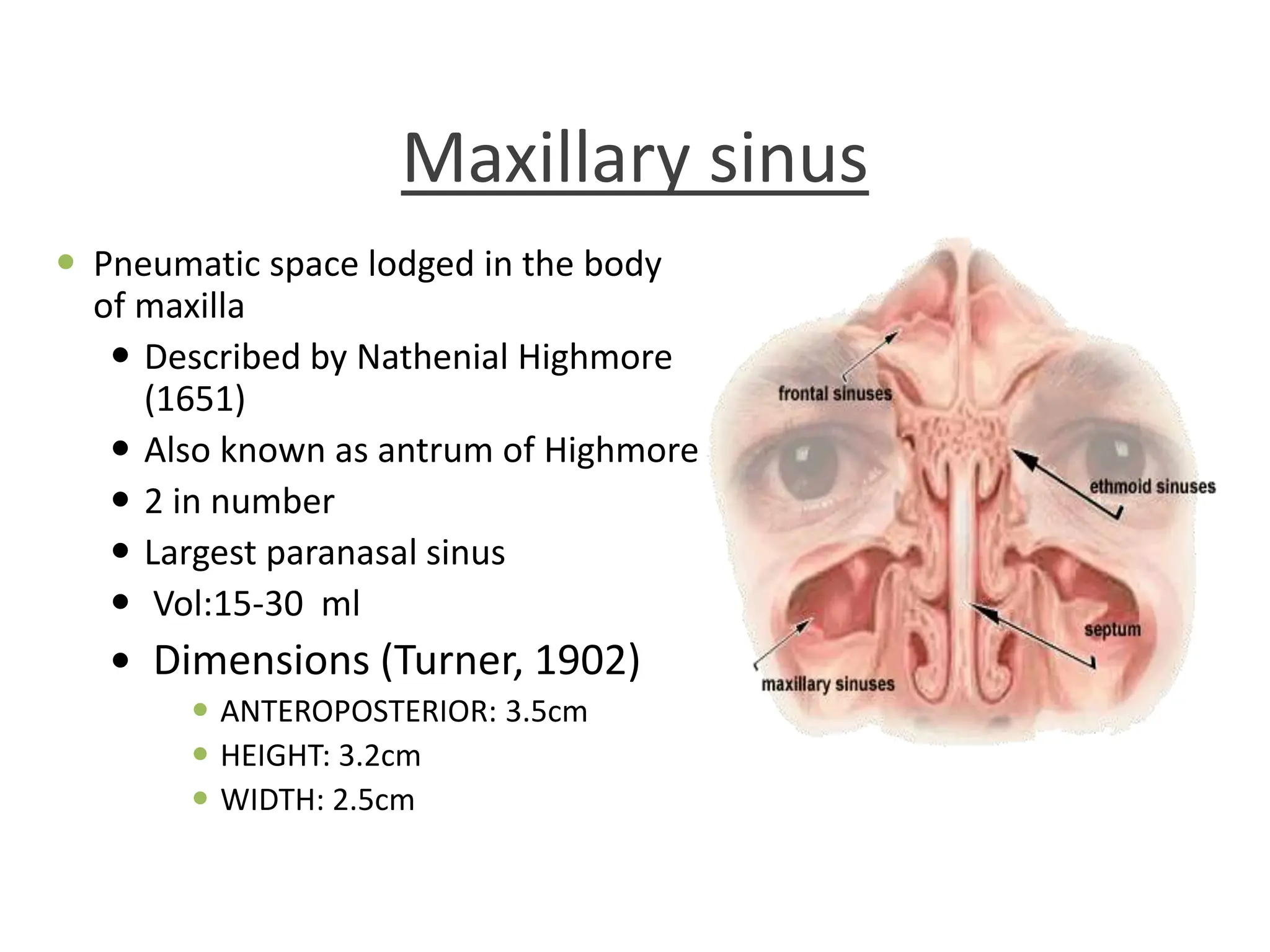maxillarysinus-170705134531 [Autosaved].pptx