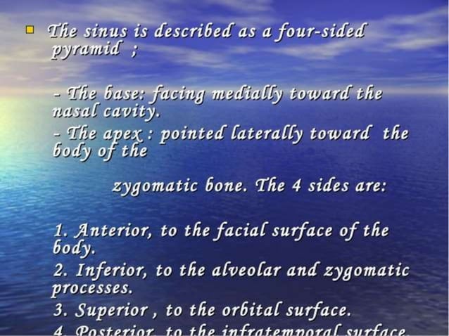 Maxillary Sinus Ppt