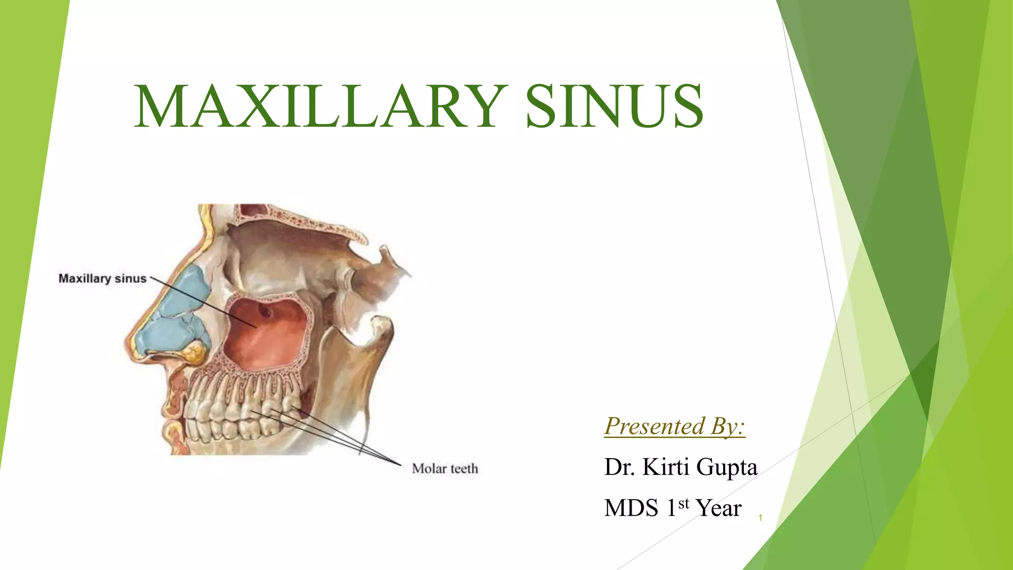 Maxillary Sinus | PPTX