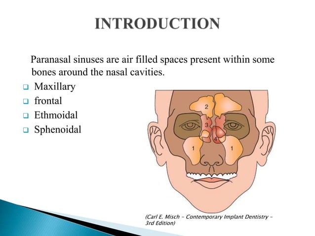 Maxillary sinus | PPTX