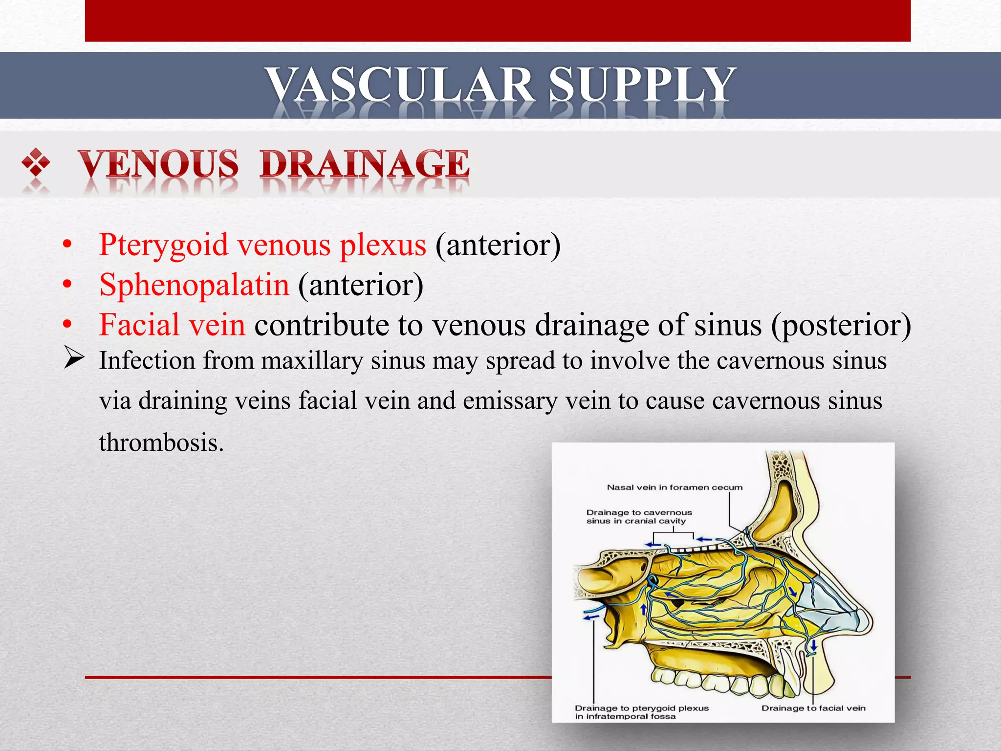 Maxillary sinus.pptx