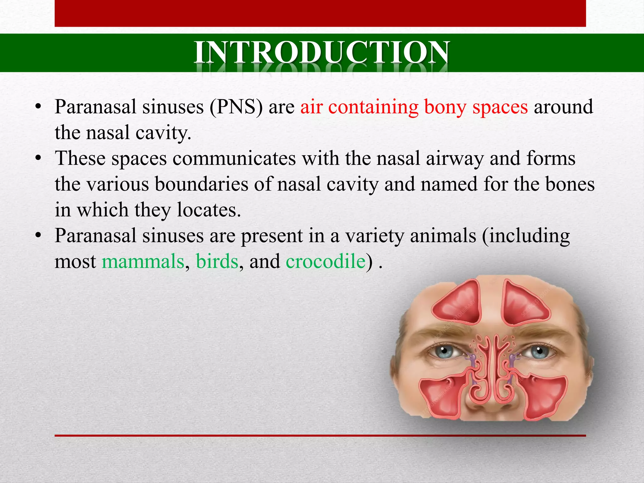 Maxillary sinus.pptx
