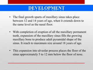 Maxillary sinus.pptx | Ear, Nose and Throat Conditions | Diseases and ...