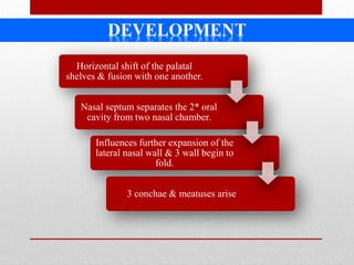 Maxillary sinus.pptx | Ear, Nose and Throat Conditions | Diseases and ...