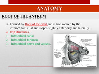 Maxillary sinus.pptx