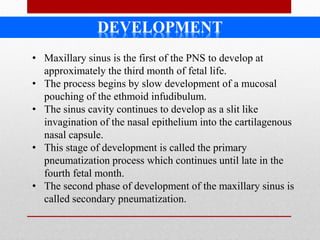 Maxillary sinus.pptx | Ear, Nose and Throat Conditions | Diseases and ...
