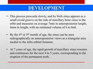 Maxillary sinus.pptx | Ear, Nose and Throat Conditions | Diseases and ...