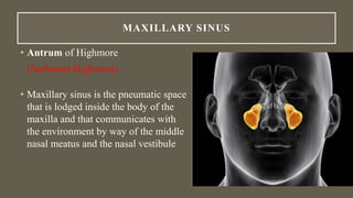 Maxillary sinus | PPTX