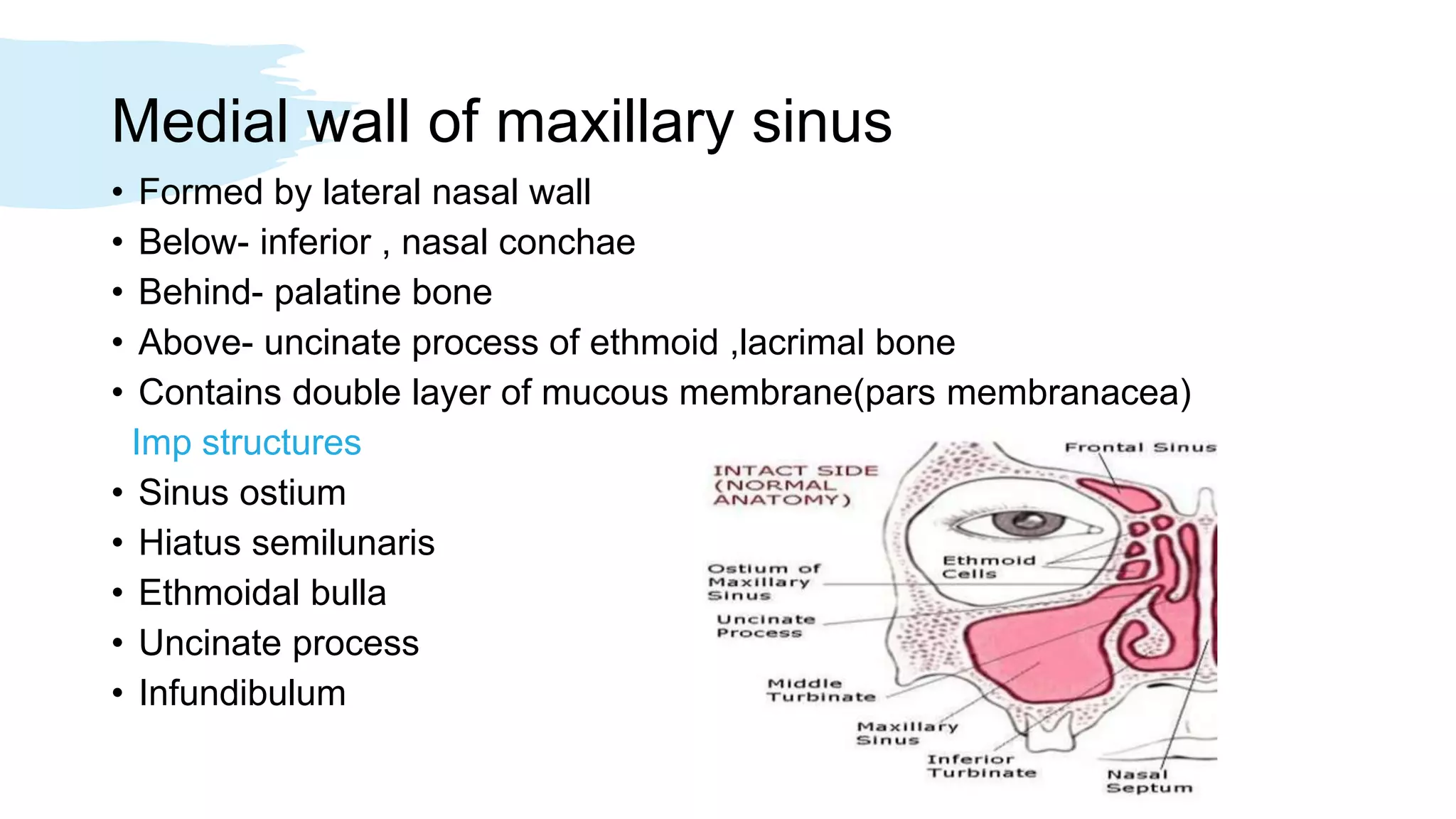 Maxillary sinus | PPTX