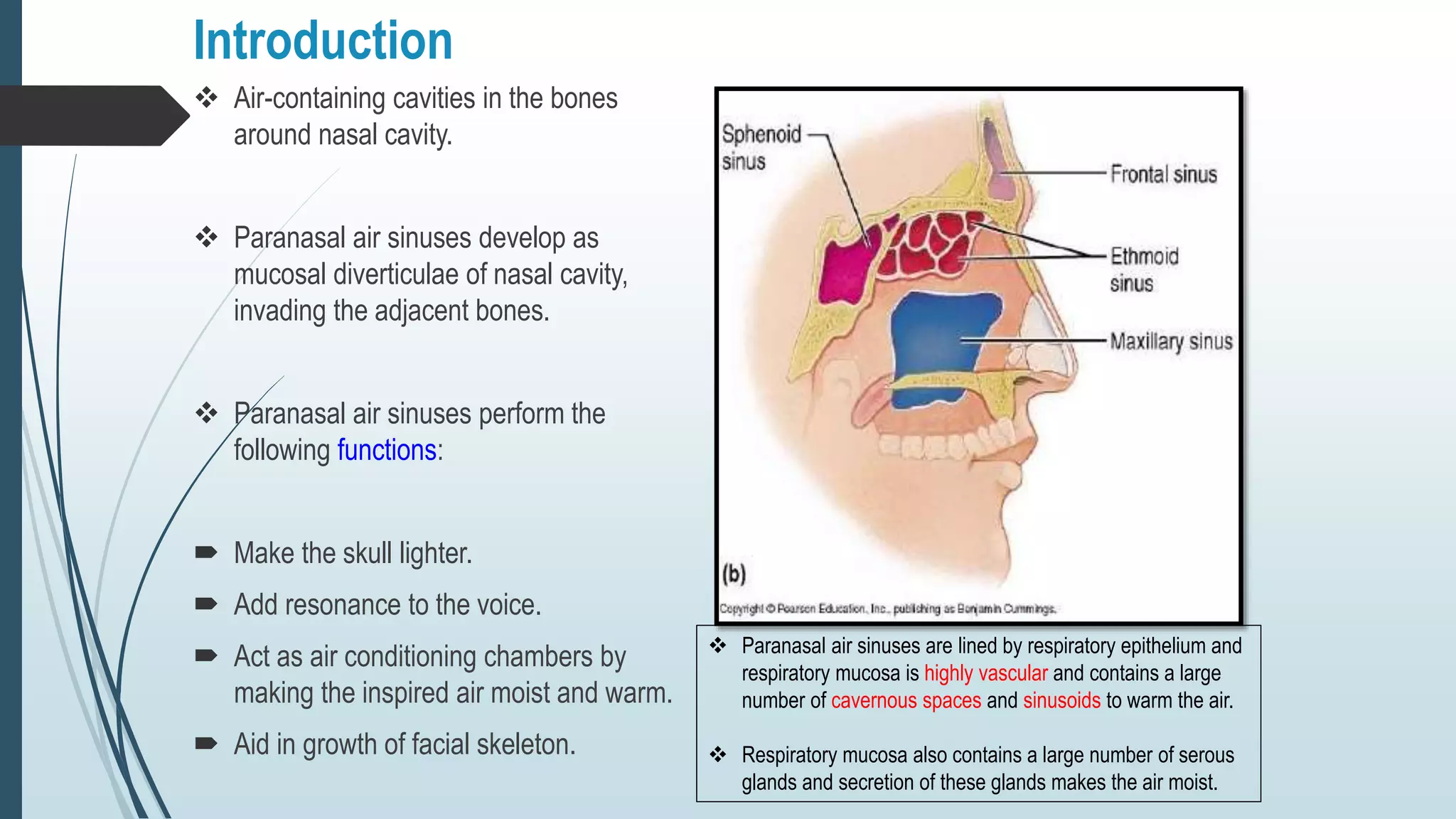MAXILLARY SINUS.pptx | Ear, Nose and Throat Conditions | Diseases and Conditions