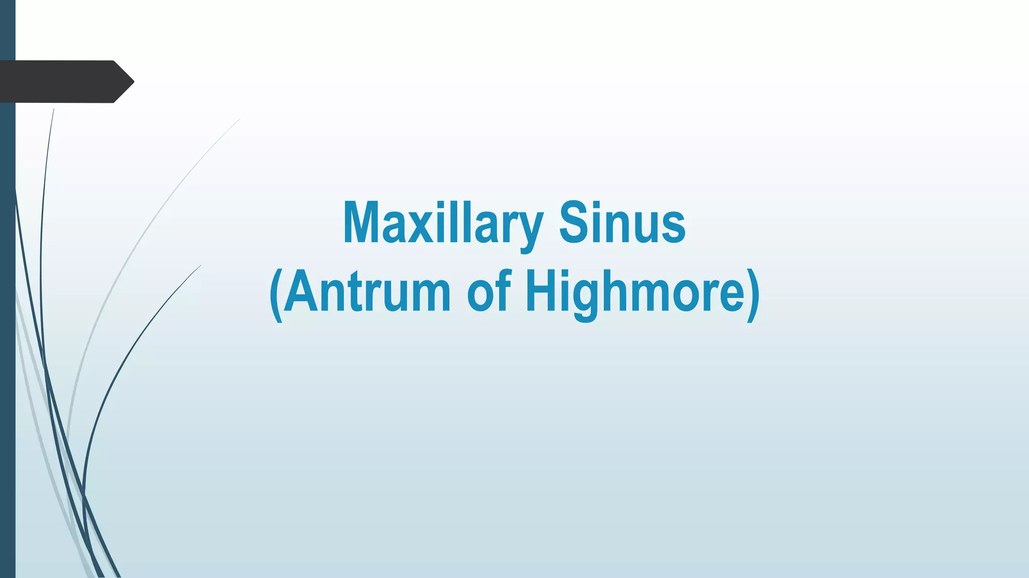 MAXILLARY SINUS.pptx | Ear, Nose and Throat Conditions | Diseases and Conditions