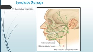 MAXILLARY SINUS.pptx | Ear, Nose and Throat Conditions | Diseases and ...