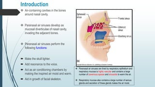 MAXILLARY SINUS.pptx | Ear, Nose and Throat Conditions | Diseases and ...