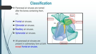 MAXILLARY SINUS.pptx | Ear, Nose and Throat Conditions | Diseases and ...