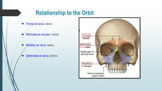 MAXILLARY SINUS.pptx