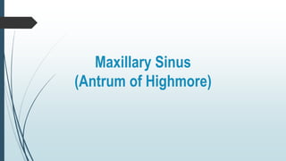 MAXILLARY SINUS.pptx