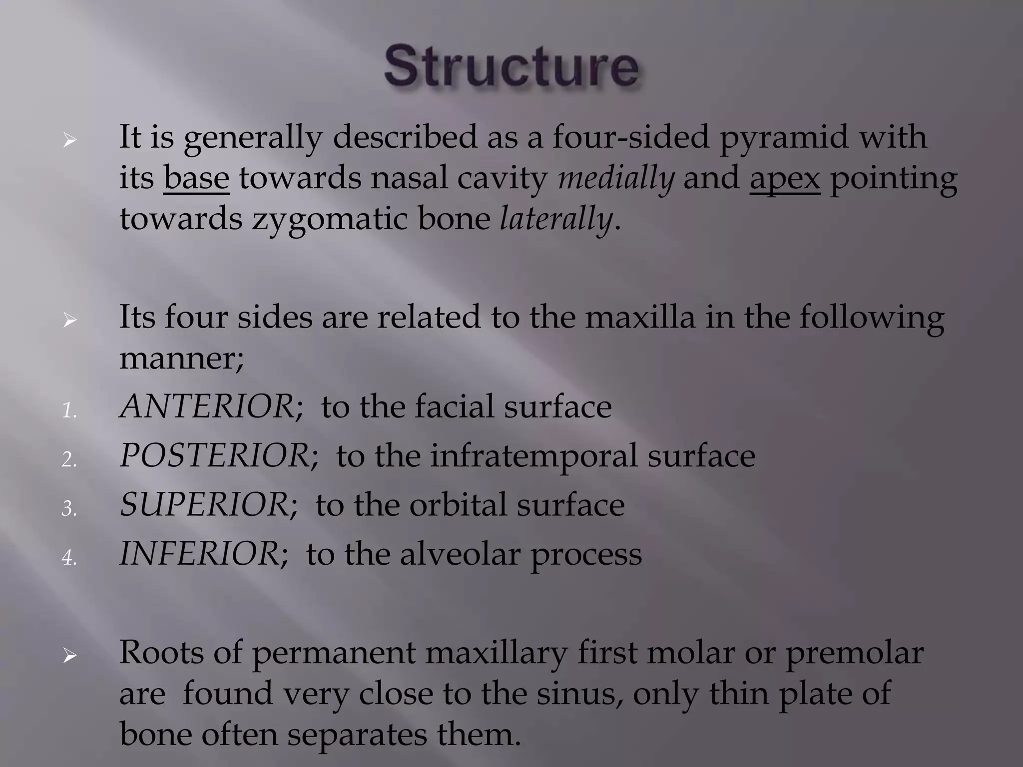 Maxillary Sinus | PPTX