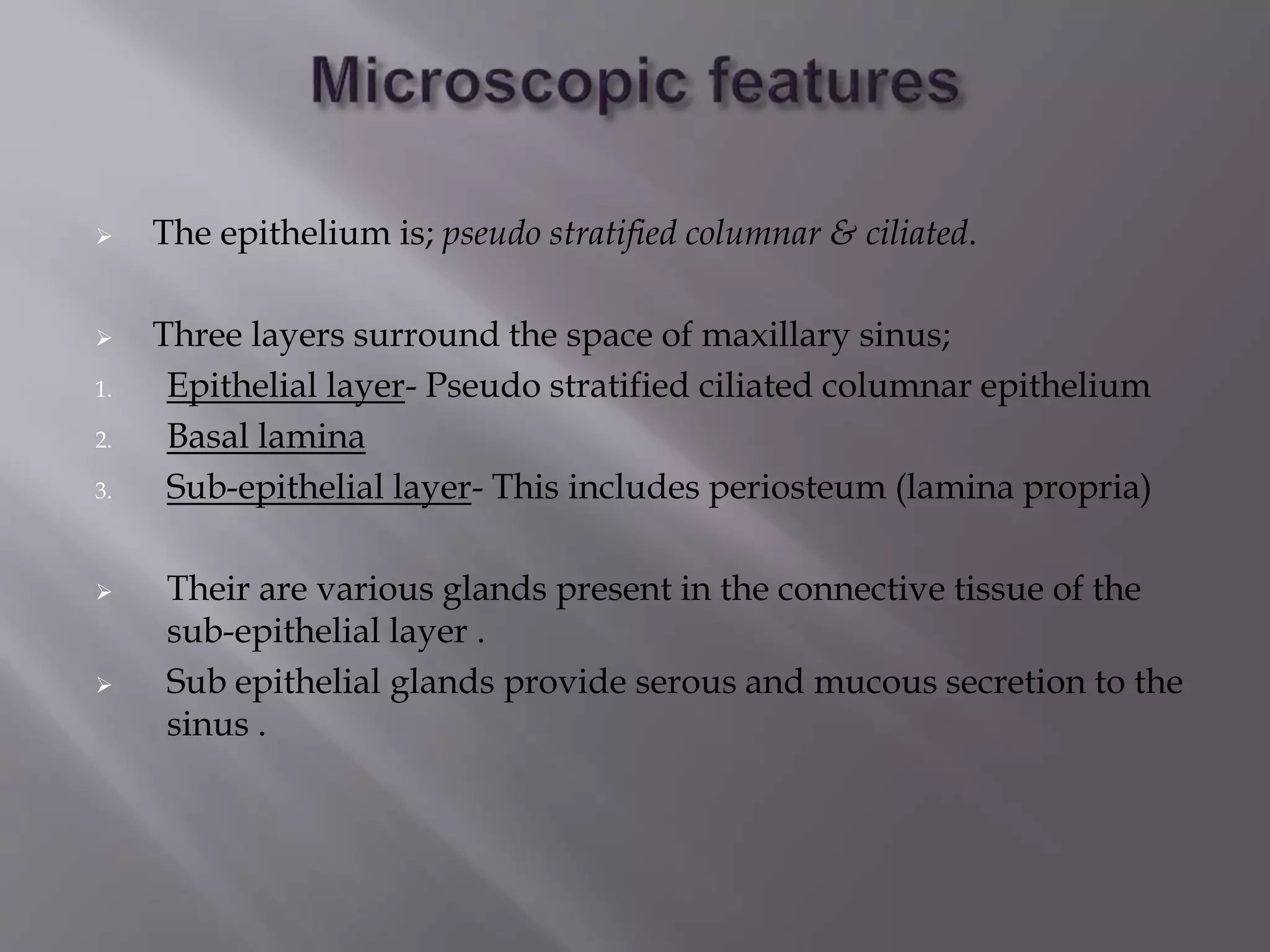 Maxillary Sinus | PPTX