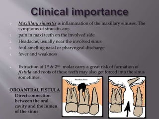 Maxillary Sinus | PPTX