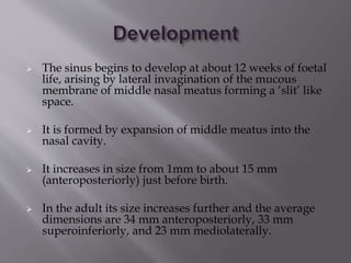 Maxillary Sinus | PPTX