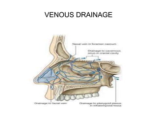 Maxillary sinus.ppt