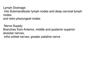 Maxillary sinus.ppt