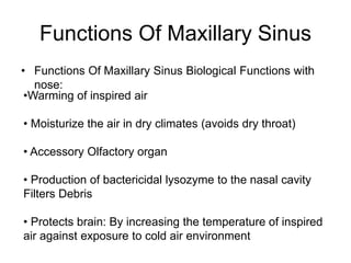 Maxillary sinus.ppt