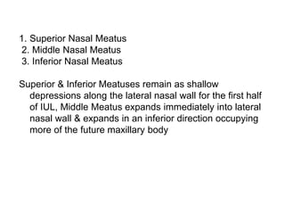 Maxillary sinus.ppt