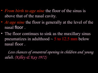 MAXILLARY SINUS is located in the maxilla.ppt