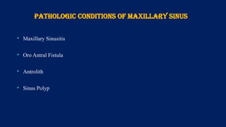 Maxillary Sinus.pptx 1st bds lecture histology | PPTX